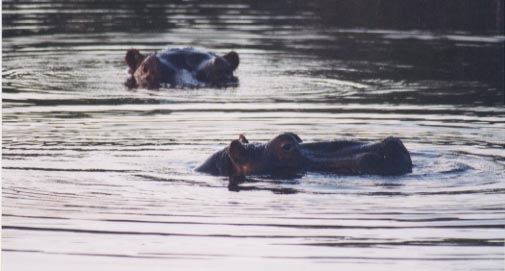 New Page 1 [www.wrcresearch.com]